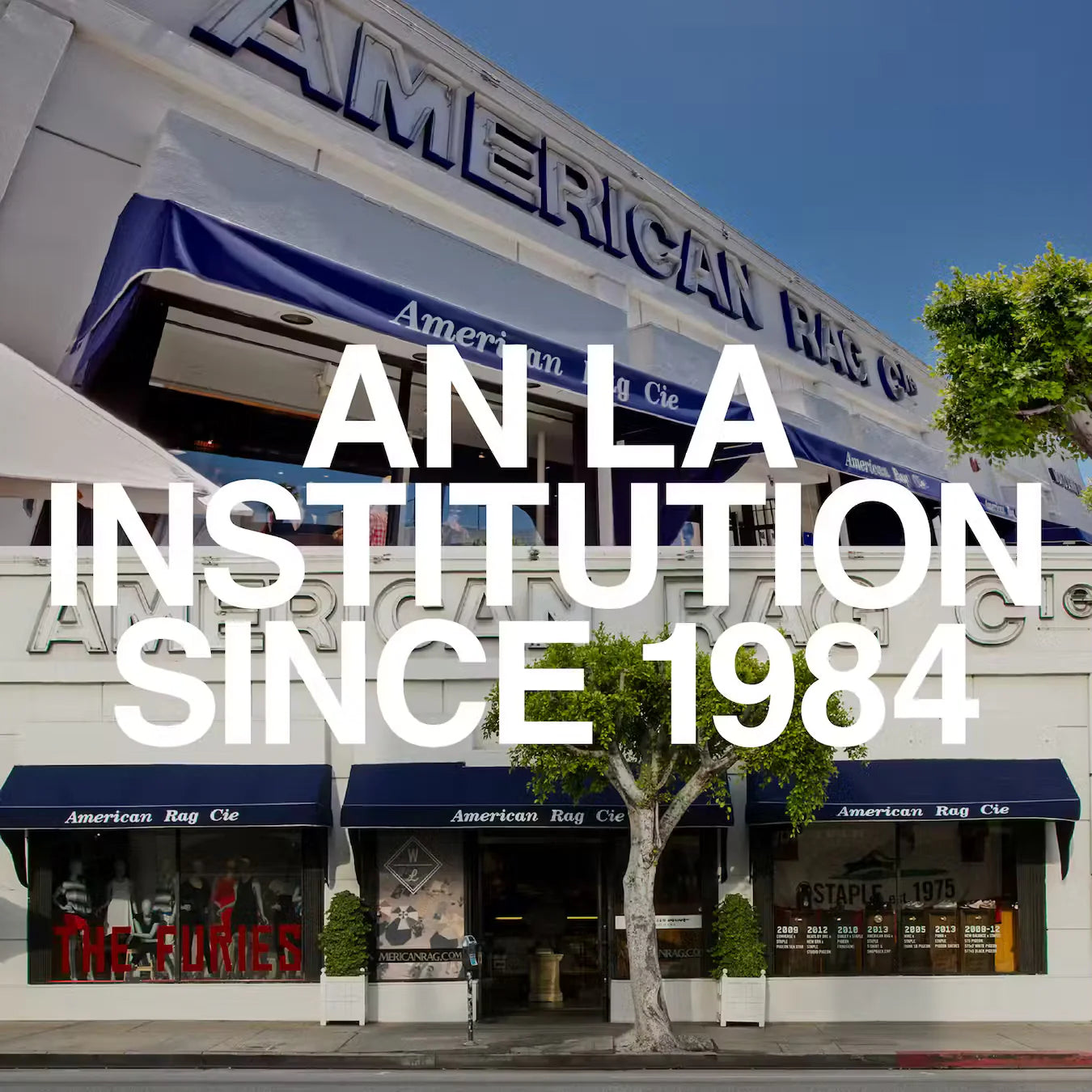 Andine x American Rag | Andine